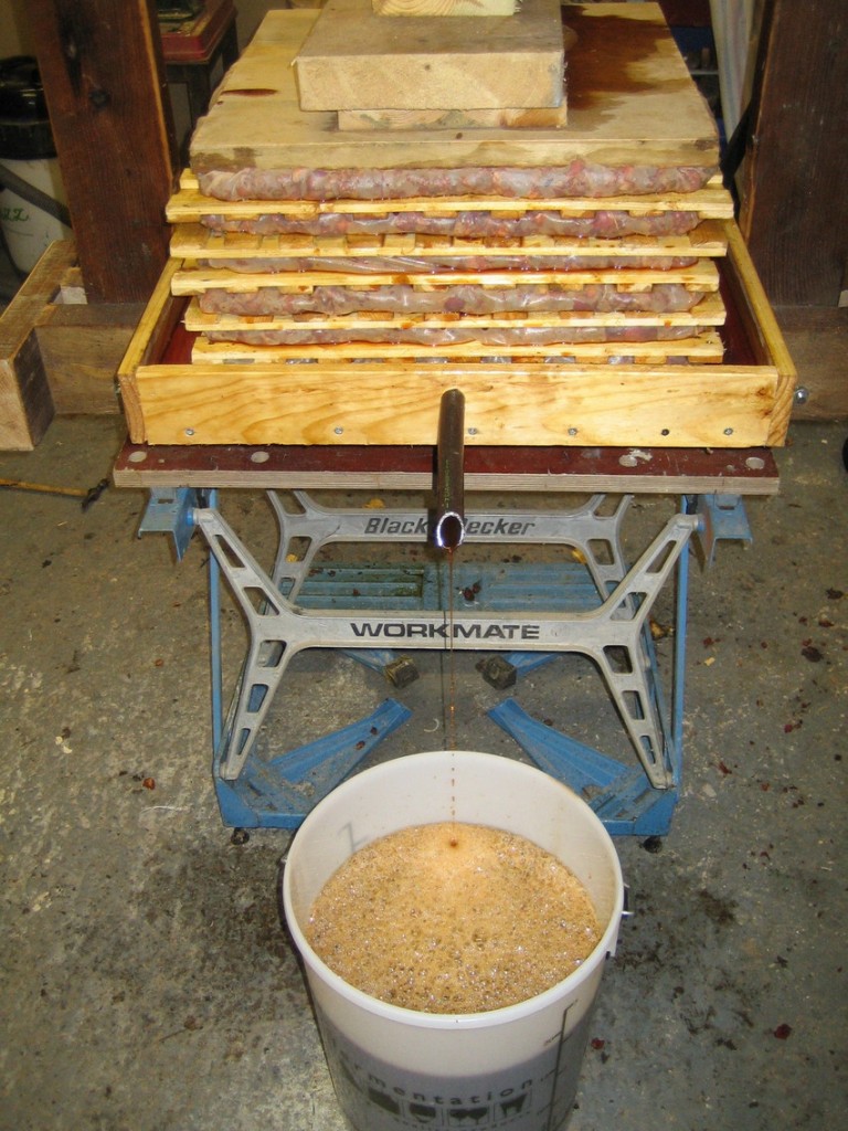Cider Apple Pressing 2010 | www.tanstaafl.co.uk